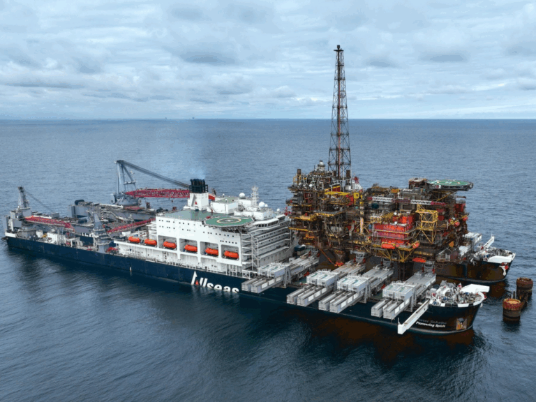 The Giant Ship That ‘Swallows’ Entire Oil Platforms: 382 Meters Long ...