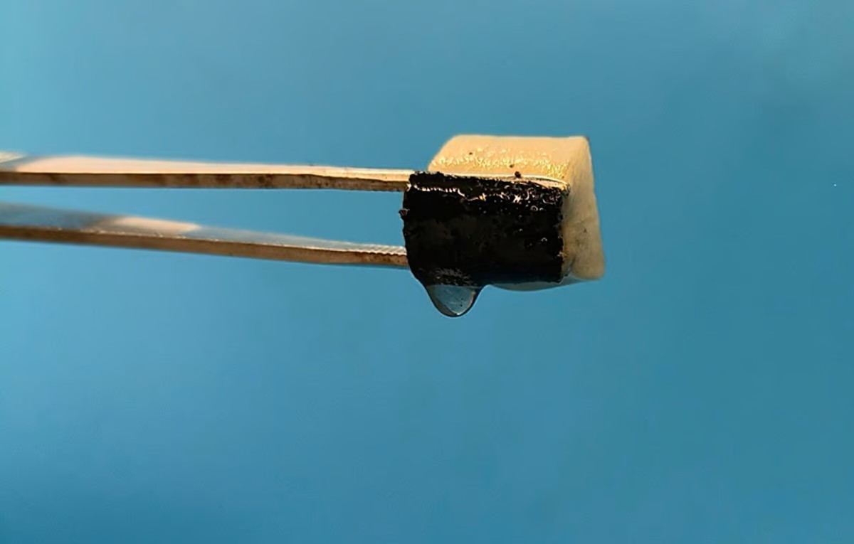 Researchers Develop Solar Sponge That Extracts Drinking Water From Air ...