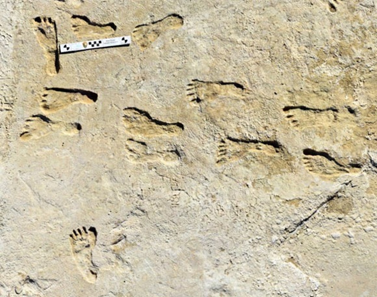 The Incredible Discovery of Human Footprints Dated Between 21,000 and ...