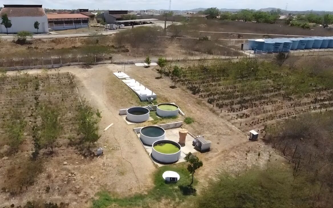 Technology Transforms Domestic Sewage into Reusable Water and Boosts ...