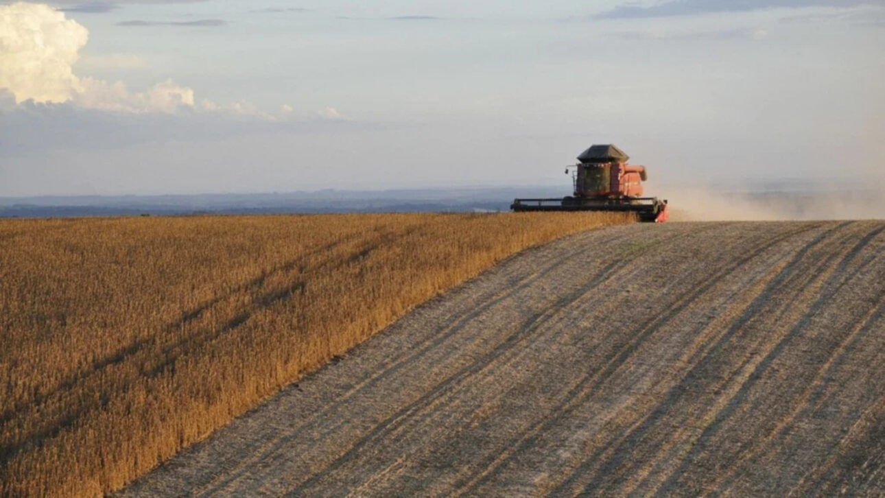 Agro GDP soars 12.2% in 2025, surpasses R$ 3.2 trillion, and once again ...
