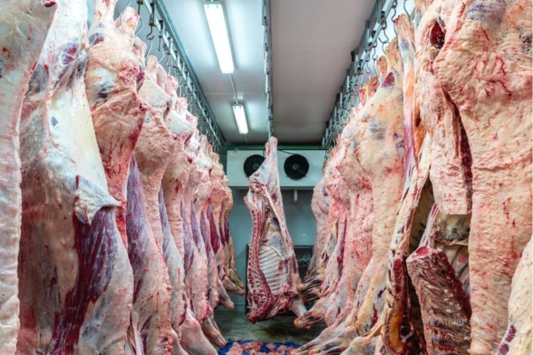 Brazil secures a foothold in one of the largest markets in Africa ...